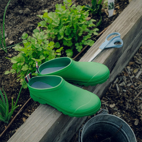 Womens - Bodega Clog - Fern – SeaVees